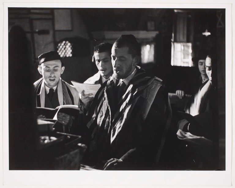 Roman Vishniac’s Big Little World – The Parallax Review